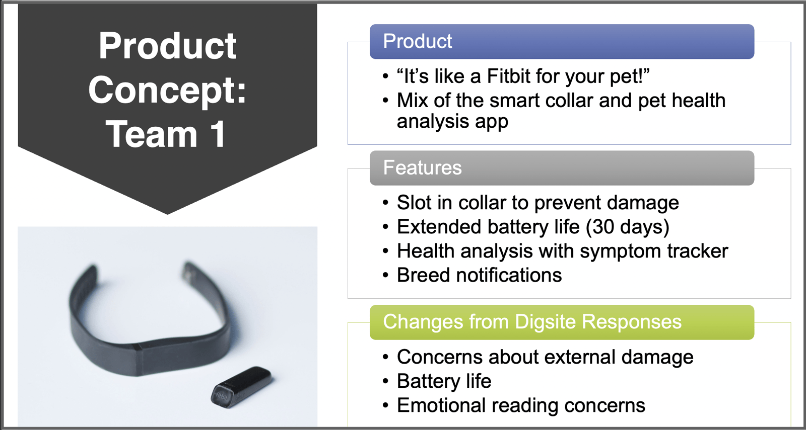 Digsite and UW-Madison: How MBA Students Created New Pet Products Using ...